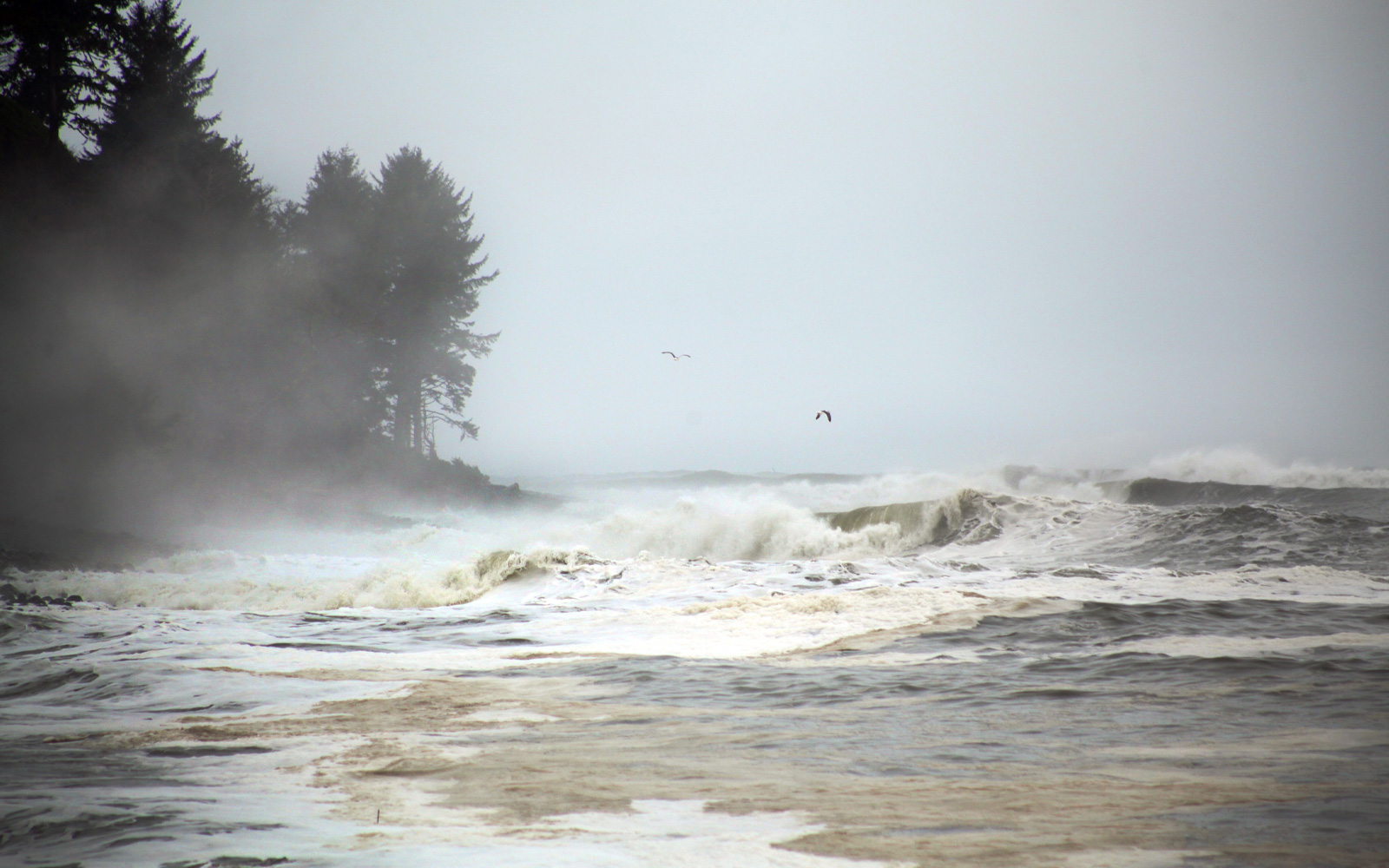 All About Storm Watching in Seaside - Seaside Oregon