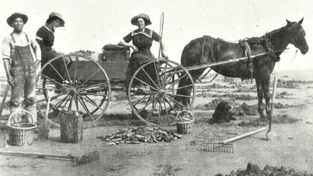 Clamming Chronicles - Seaside Oregon