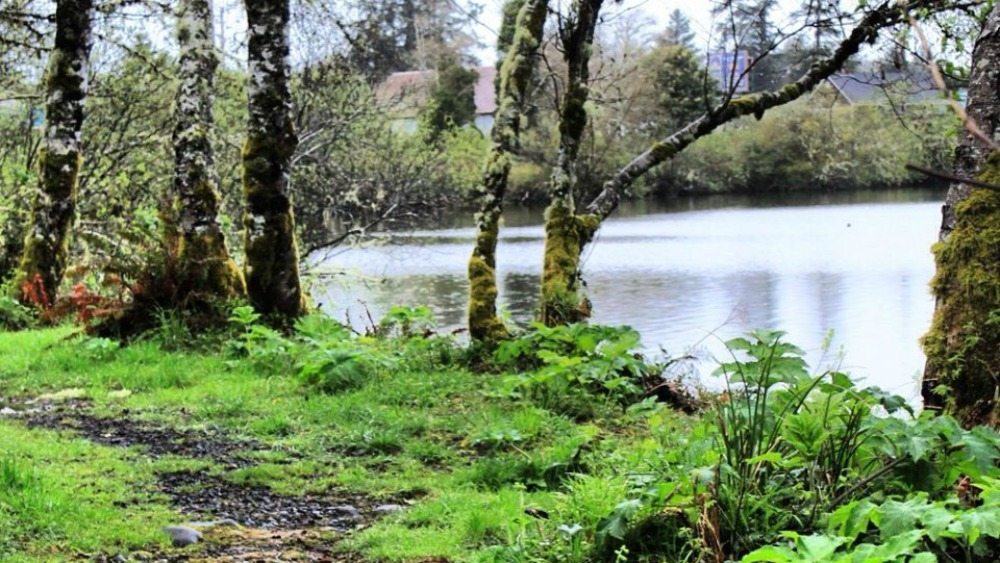 Celebrating Spring - Seaside Oregon
